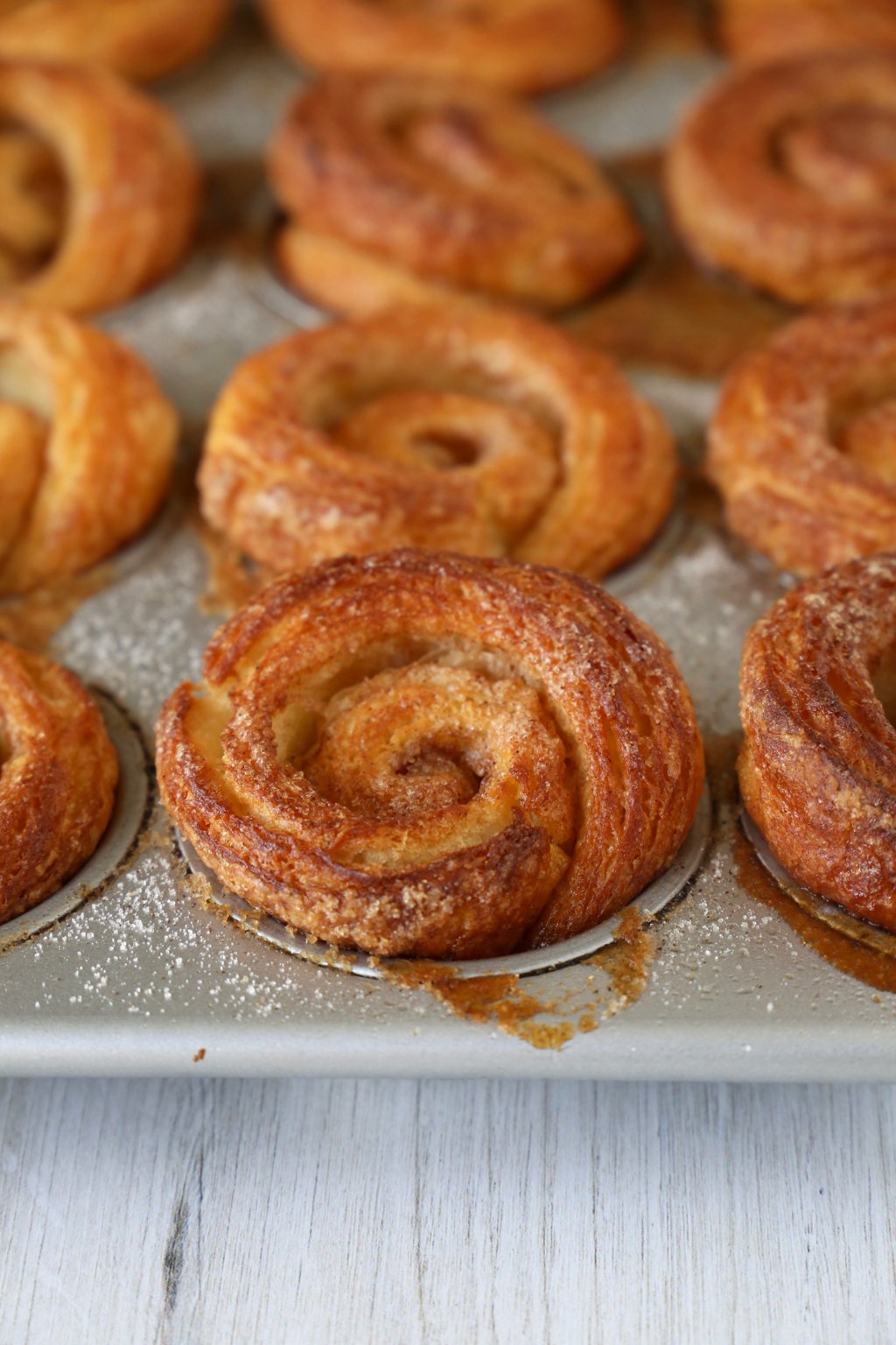 Morning Bun | Joy + Oliver