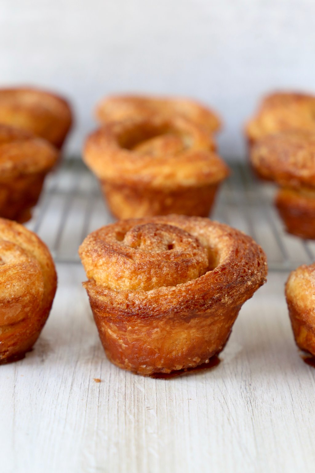 Morning Bun | Joy + Oliver