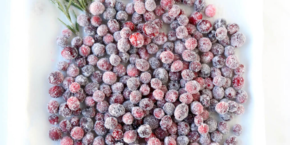 Sugared Cranberries | Joy + Oliver