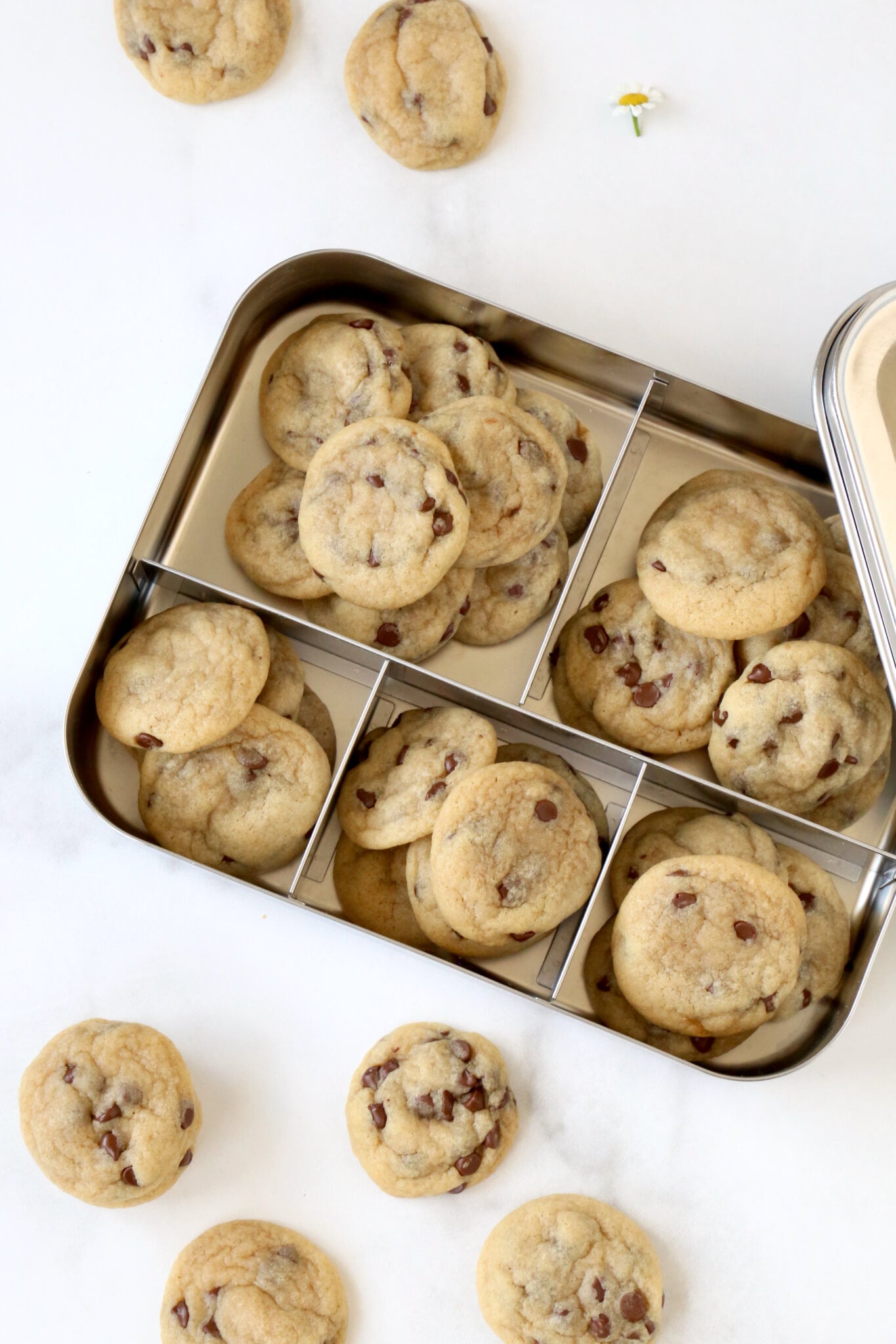 Lunch Box Mini Chocolate Chip Cookies - Joy + Oliver