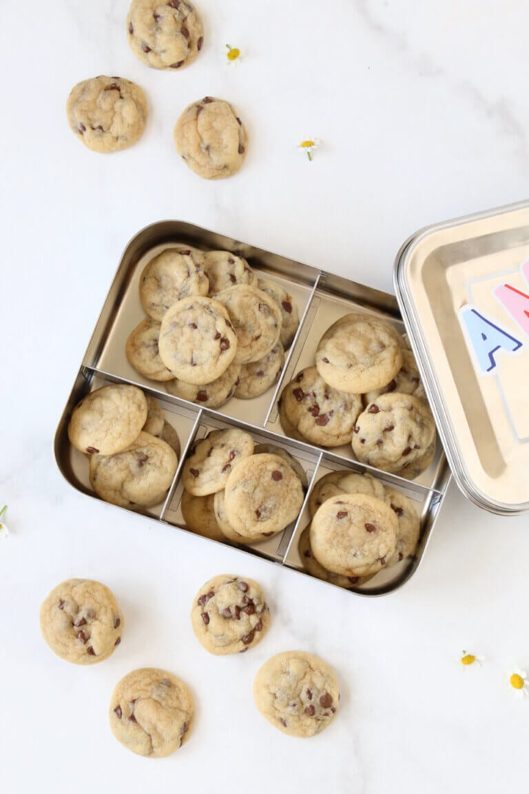 Lunch Box Mini Chocolate Chip Cookies - Joy + Oliver