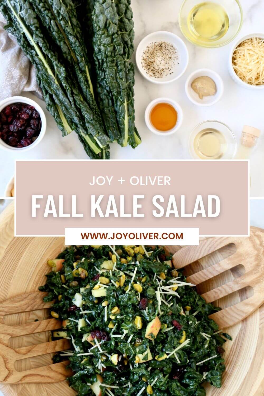 The Best Kale Salad with Lemon Vinaigrette - Joy + Oliver